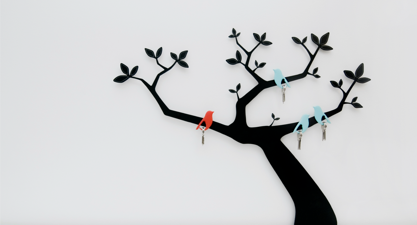 Anecdotes - Orcadesign